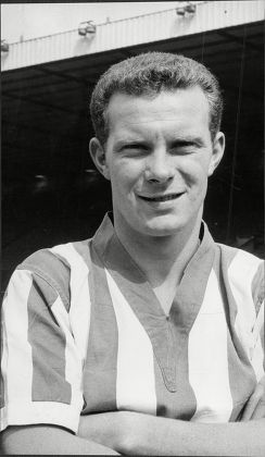 Footballer David Layne Sheffield Wednesday David Editorial Stock Photo ...