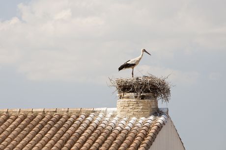 7 Communal colony Stock Pictures, Editorial Images and Stock Photos ...
