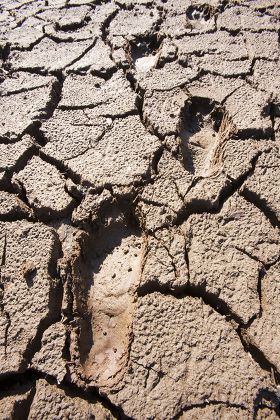 Human Footprints Through Mud Cracks Thirlmere Editorial Stock Photo ...