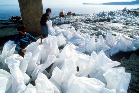 Ecologists Sorting Through Bags Containing Oily Editorial Stock Photo ...