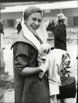86 Dilys laye Stock Pictures, Editorial Images and Stock Photos ...