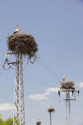 7 Communal colony Stock Pictures, Editorial Images and Stock Photos ...