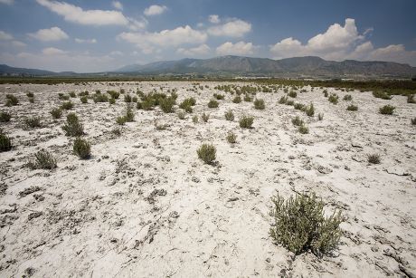 18 Drained lagoon Stock Pictures, Editorial Images and Stock Photos ...