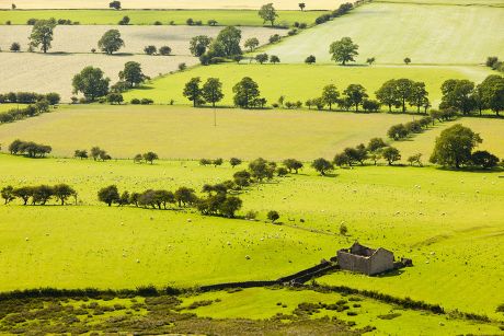 Fields Below Pendle Hill Ribble Valley Editorial Stock Photo - Stock ...