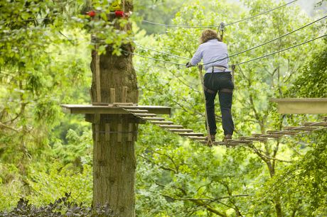34 Forest ropes course Stock Pictures, Editorial Images and Stock ...