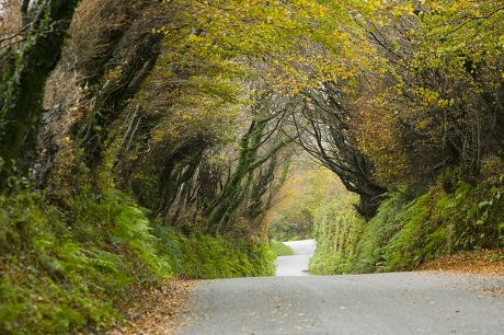 Narrow Country Lane Near Camelford Cornwall Editorial Stock Photo ...