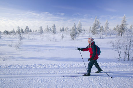 93 Lapland woman Stock Pictures, Editorial Images and Stock Photos ...