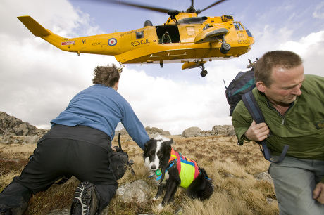 Mountain Rescue Team Members Search Dog Editorial Stock Photo - Stock ...