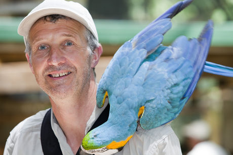 Blue Yellow Macaw Ara Ararauna Bird Editorial Stock Photo - Stock Image ...