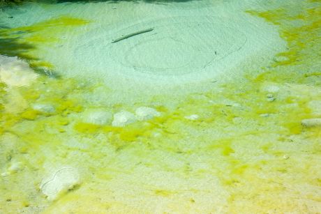 Ink Pots Limestone Spring Water Pools Editorial Stock Photo - Stock ...