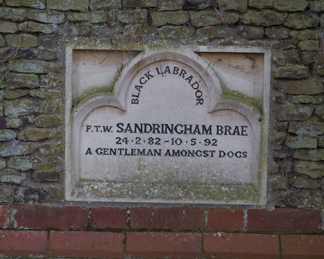 Memorial Stone Labrador Sandringham Brae Sandringham Editorial Stock ...