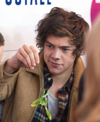 Harry Styles Holding Mistletoe Editorial Stock Photo - Stock Image ...