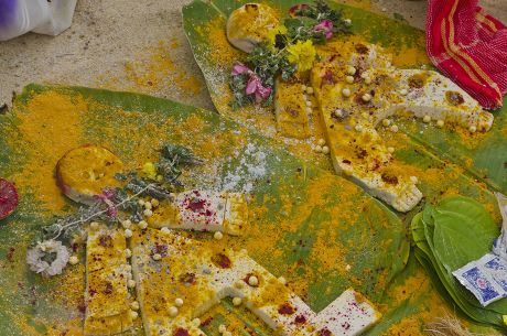 Part Special Pooja Where Pilgrims Pray Editorial Stock Photo - Stock ...