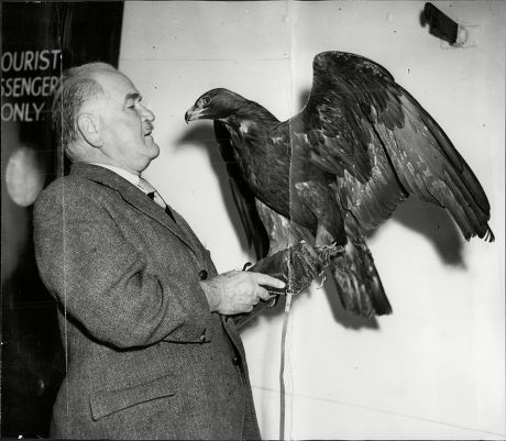 Captain Cwr Knight Charles Knight Naturalist Editorial Stock Photo ...