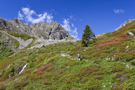 3 Mandelspitze Stock Pictures, Editorial Images and Stock Photos ...