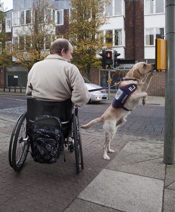 Allen Parton Ej Hounds Heroes Pedestrian Editorial Stock Photo - Stock ...