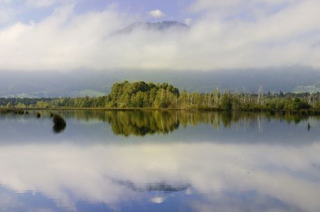 85 Bog ponds Stock Pictures, Editorial Images and Stock Photos ...