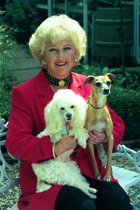 Celebrity Pets Actress Katie Boyle Lady Editorial Stock Photo - Stock ...