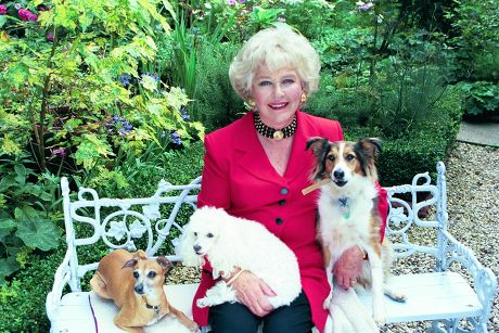 former eurovision host katie boyle dies 91 Stock Photos (Exclusive ...