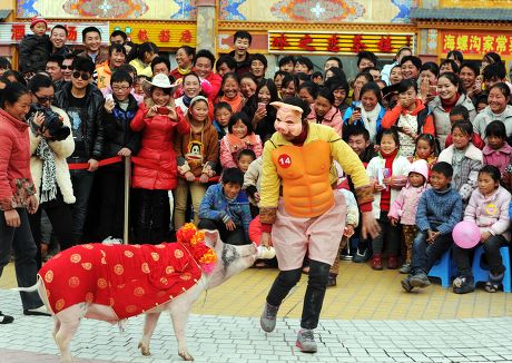 Pig Owner Festival Editorial Stock Photo - Stock Image | Shutterstock