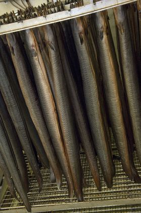 __COUNT__ Severn and Wye Smokery, Westbury-on-Severn, Gloucestershire ...