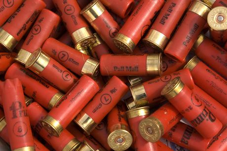 Shotgun Cartridges Editorial Stock Photo - Stock Image | Shutterstock