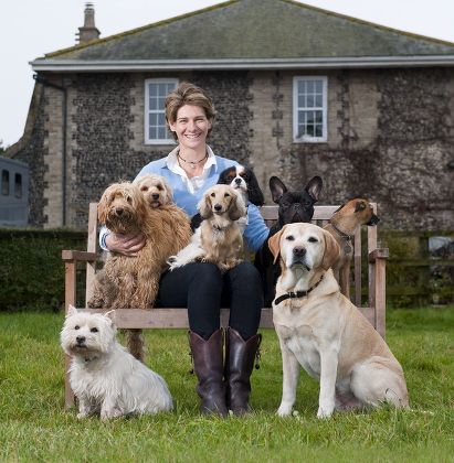 House of Mutt five star hotel for dogs, Fakenham Magna, Suffolk ...
