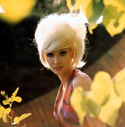 250 Jacqueline jones Stock Pictures, Editorial Images and Stock Photos ...