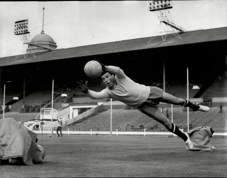 Portugal Goalkeeper Costa Pereira Training Wembley Editorial Stock ...