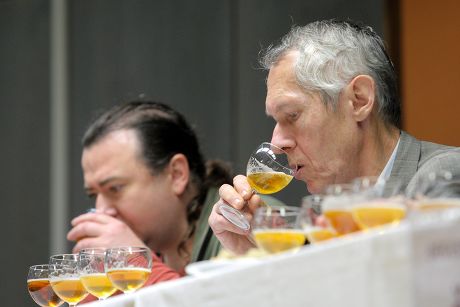 Professional Tasters Degust Beers During International Editorial Stock ...