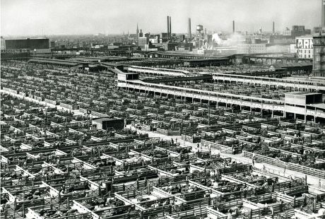 40 Chicago stockyards Stock Pictures, Editorial Images and Stock Photos ...