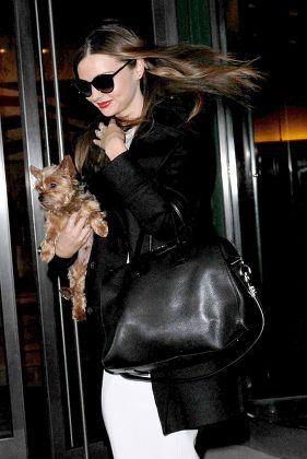 Miranda Kerr Dog Frankie Editorial Stock Photo - Stock Image | Shutterstock