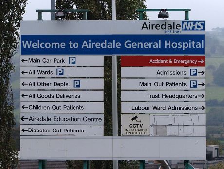 94 Airedale Stock Pictures, Editorial Images and Stock Photos ...