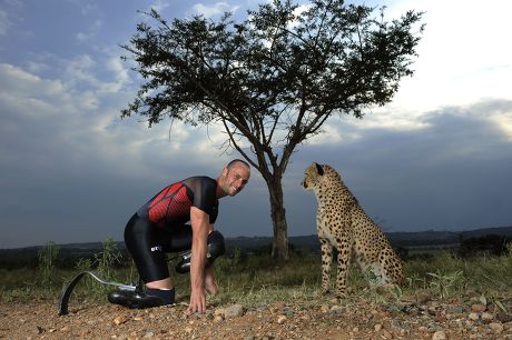 37 Cheetah farm Stock Pictures, Editorial Images and Stock Photos ...