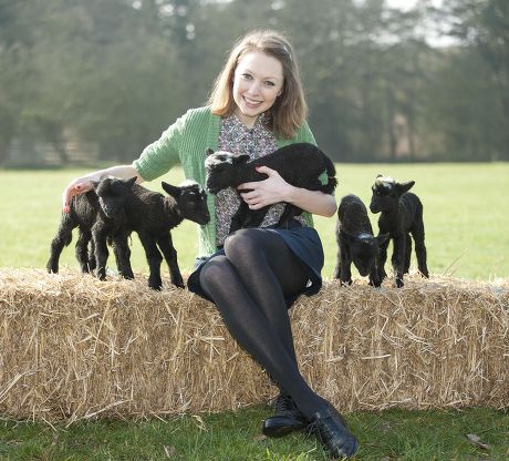 Aliceazania Jarvis Quintuplet Lambs Born Umberslade Editorial Stock ...