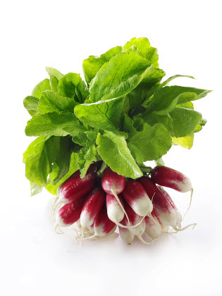 Bunch Fresh Red Raddish Editorial Stock Photo - Stock Image | Shutterstock
