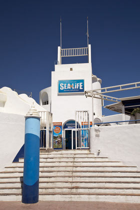 Sealife Aquarium Port Benalmadena Malaga Province Editorial Stock Photo ...