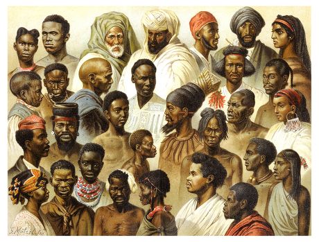26 Abyssinians Stock Pictures, Editorial Images and Stock Photos ...
