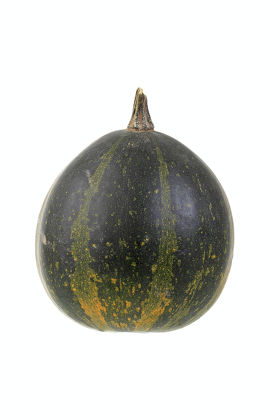Green Ornamental Gourd Smooth Editorial Stock Photo - Stock Image ...