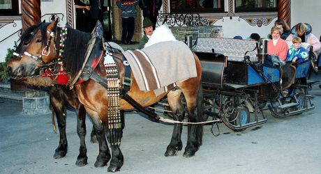 Princess Diana Prince Harry Catherine Soames Editorial Stock Photo ...