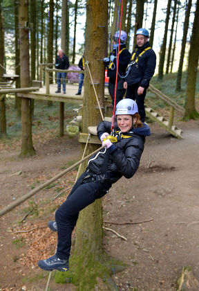 Tree Top Adventure Centre Betws Y Editorial Stock Photo - Stock Image ...