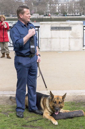 Andy Jones Dog Support Unit Elvis Editorial Stock Photo - Stock Image ...