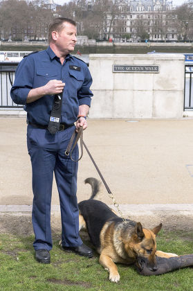 Andy Jones Dog Support Unit Elvis Editorial Stock Photo - Stock Image ...