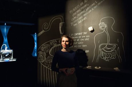 Susana Soares Installation Titled Insects Au Editorial Stock Photo ...