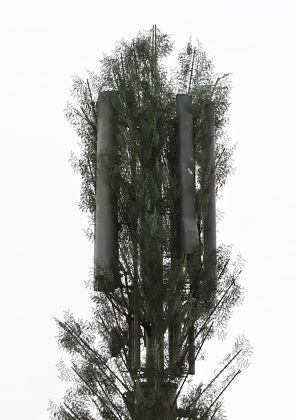Telephone Mast Hitchin Garden Centre Disguised Editorial Stock Photo ...