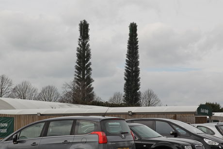 Pair Telephone Mast Hitchin Garden Centre Editorial Stock Photo - Stock ...