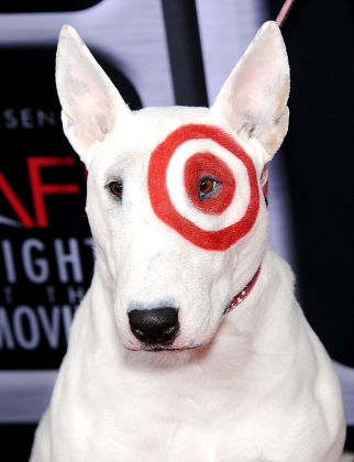 Target Dog Editorial Stock Photo - Stock Image | Shutterstock