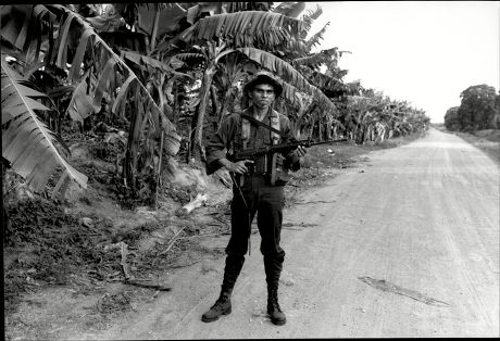 Honduras Industry Bananas Exporting Banana Wars Editorial Stock Photo ...