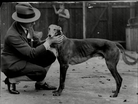 Cartoonist Tom Webster His Greyhound Tishy Editorial Stock Photo ...