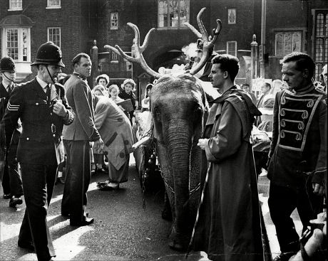 Police Move On Elephant Pulling Float Editorial Stock Photo - Stock ...